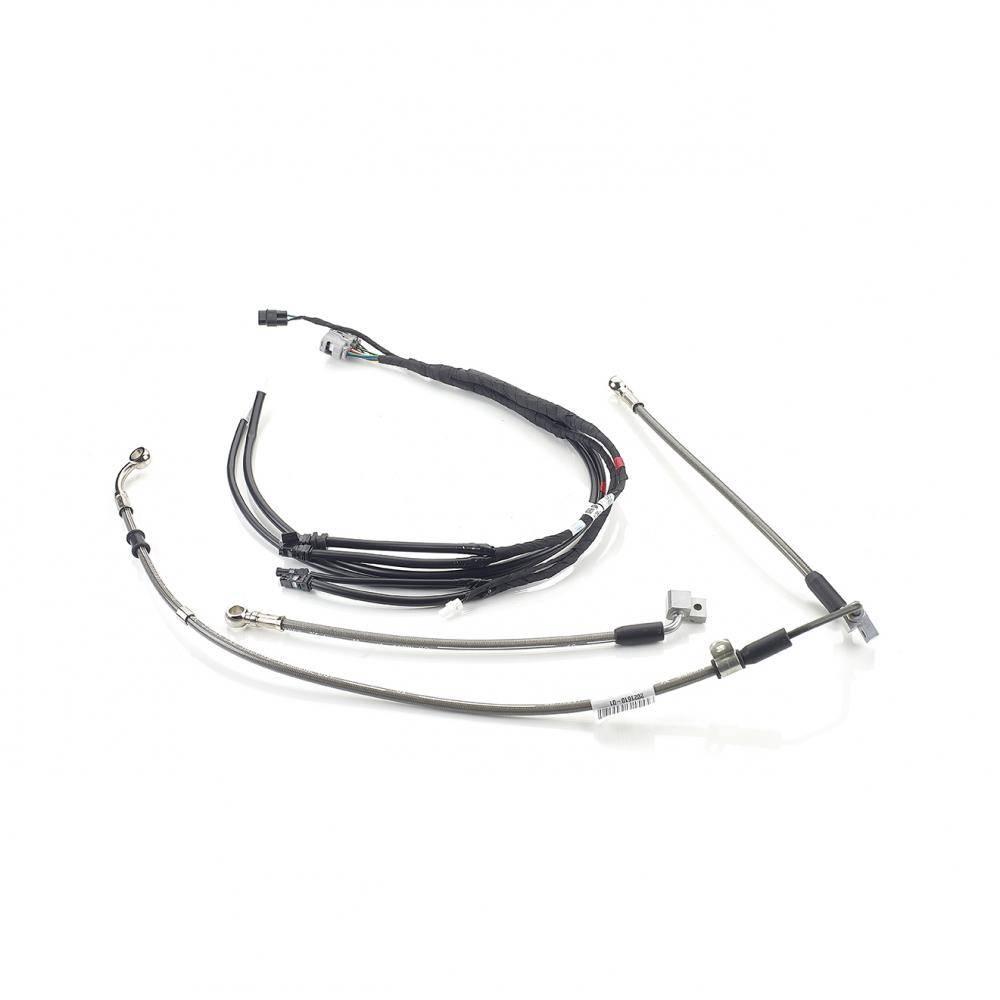 TRIUMPH Rider Infill, Tour 2023 | Triumph Motorcycles